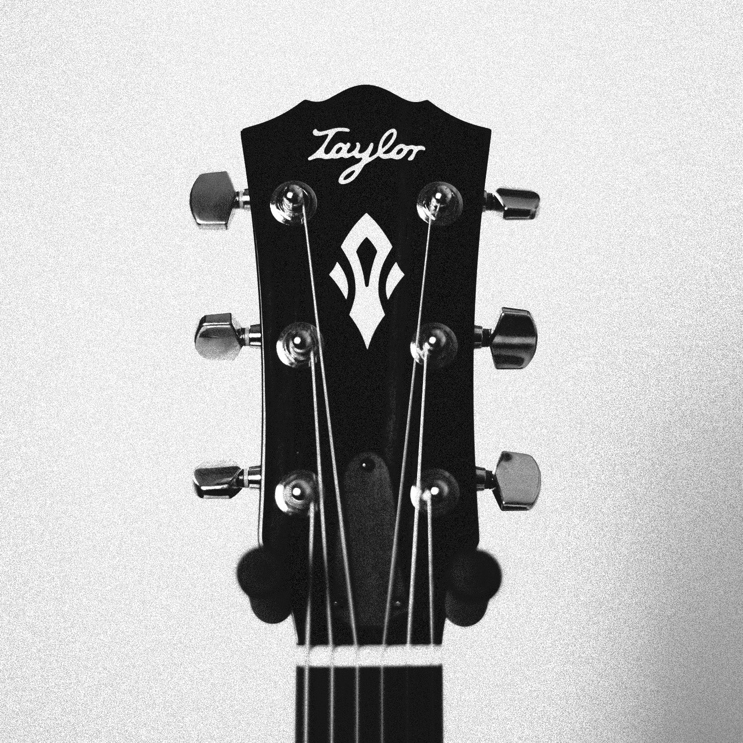 Guitar Shop and Musical Instrument Retailer - Music Bros Store