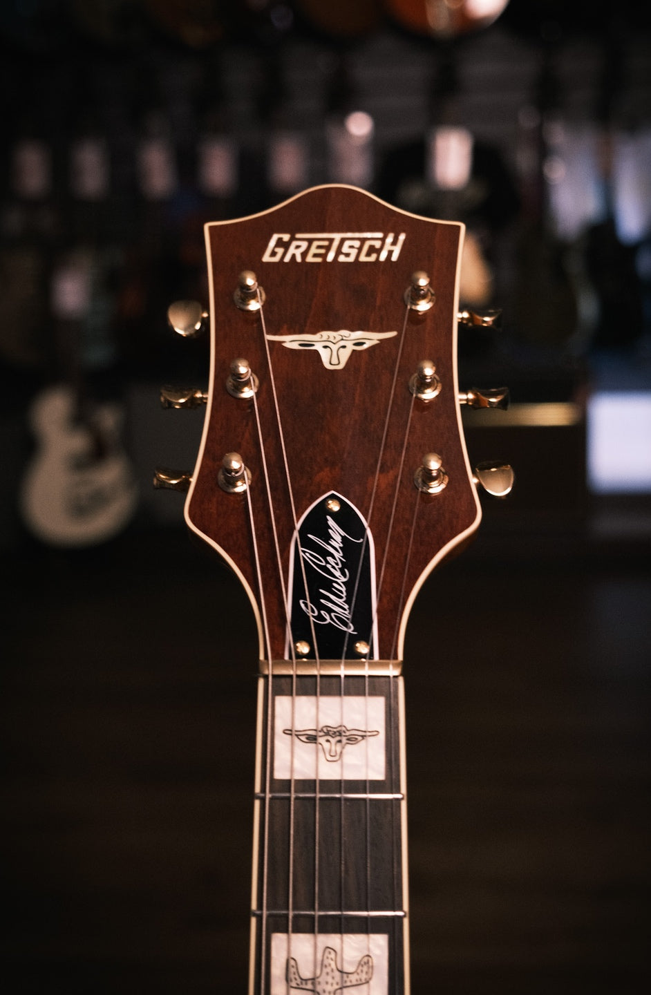 Gretsch G6120 Eddie Cochran Signature 6120 Hollow Body with Bigsby ...